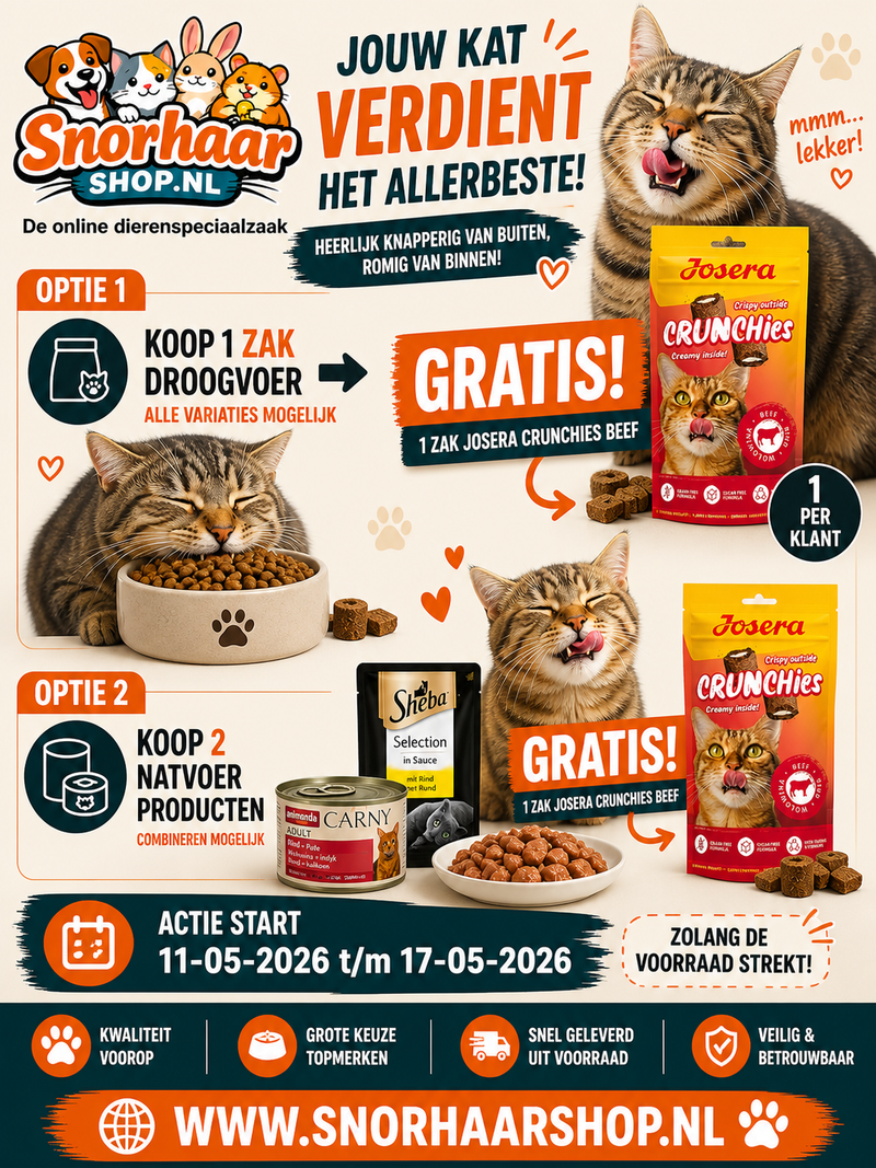 Katten-Speelgoed – Snorhaarshop.nl